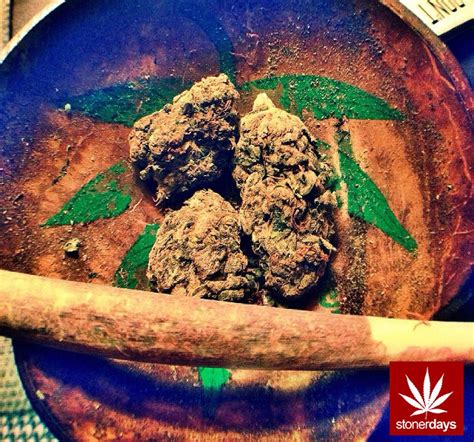 Stoner Power Stoner Pictures Stoner Blog