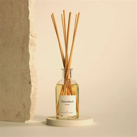 Oxygen Reed Diffuser The Olphactory Oxygen Reed Diffuser The Olphactory