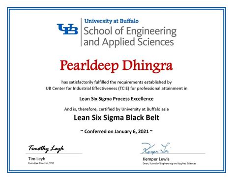 Leansixsigma Continousimprovement Processimprovement Dataanalytics… Pearldeep Dhingra 24