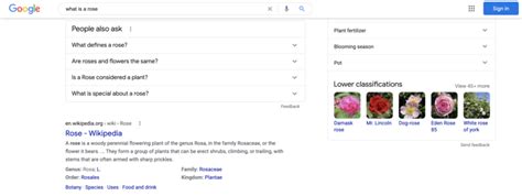 Google BERT Algorithm Update BrightEdge