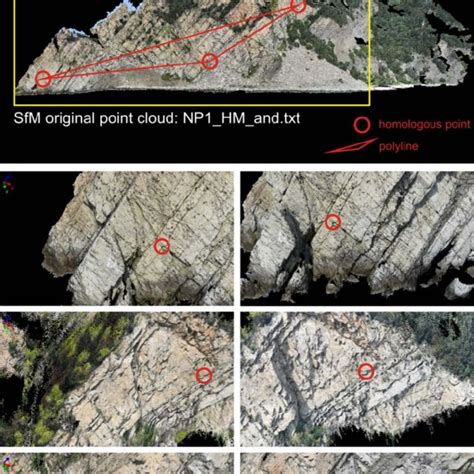 Color Online Detection Of Homologous Points And Creation The Closed