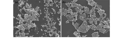A SEM Image Of Zinc Oxide Showing Homogeneity In Shape And Size B Download Scientific