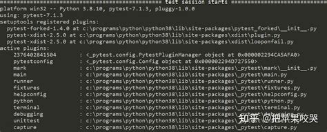pytest官方文档解读 如何安装和使用插件 知乎 pytest官方文档解读 如何安装和使用插件 知乎