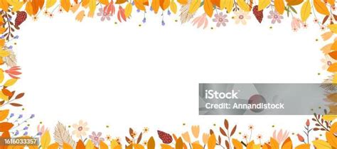 흰색 배경에 단풍과 꽃 테두리 귀여운 화려한 야생화와 나뭇잎 프레임이 있는 가을 시즌 배너 추수감사절 추수감사절 벡터 배경 배경 0명에 대한 스톡 벡터 아트 및 기타 이미지