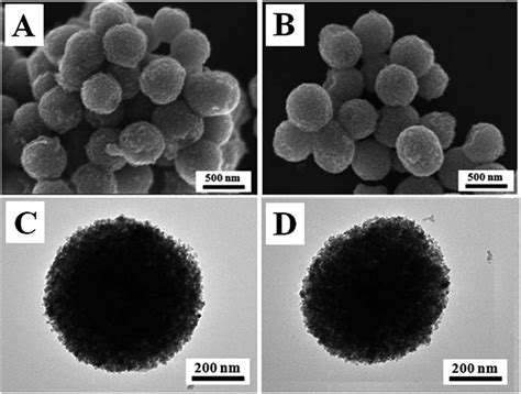 SEM Images Of TiO 2 A And B 12 TiO 2 Ru II B TEM Images Of TiO 2 Download Scientific