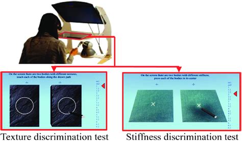 The System Comprises Of A Haptic Pen Like Device And A Two Virtual Download Scientific Diagram