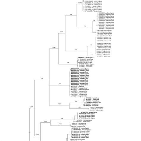 Bayesian Inference BI Tree Number Above Branches Represent BI Download Scientific Diagram