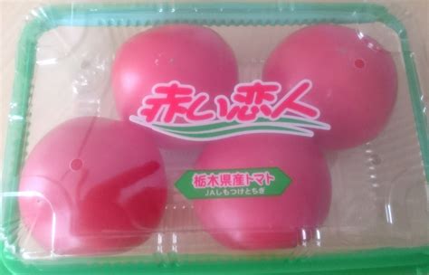 それってパクリじゃないですか？ 私の耳はネコのミミ ～やまねこのほぼ日常～