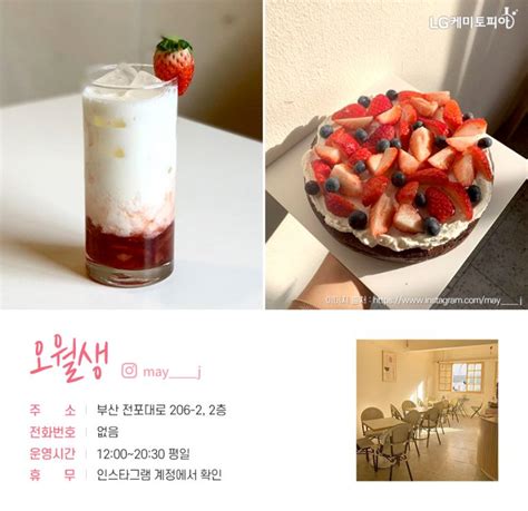 새콤달콤 봄의 미간 깨우는 딸기 디저트 카페