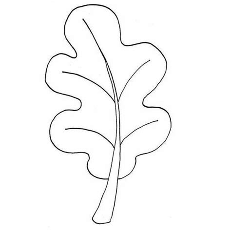 树叶简笔画png（最新17张） 简笔画图片大全