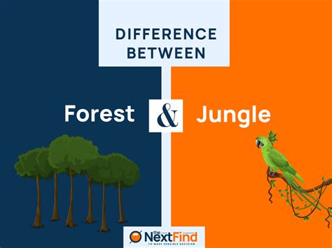 20 Differences Between Forest And Jungle Explained