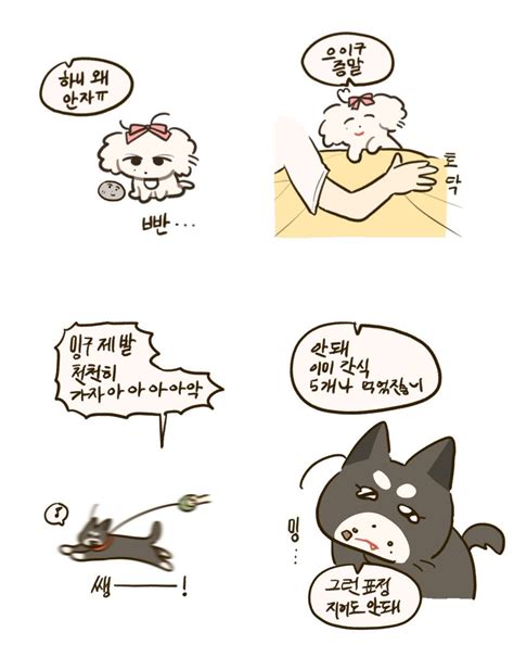 감행불일치 On Twitter 강쥐 육아 난이도 최상