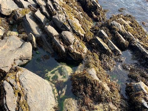 Coll Bunkhouse Updated 2025 Hostel Reviews Isle Of Coll Arinagour