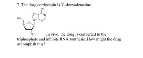 Solved The Drug Cordycepin Is 3 Dexyadenosine In Vivo The