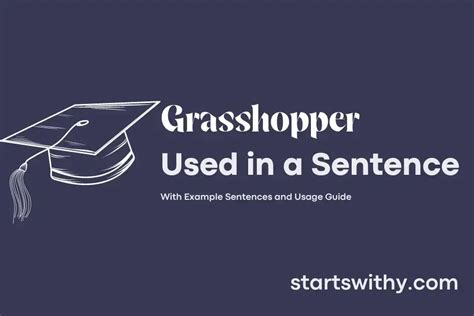 Grasshopper In A Sentence Examples 21 Ways To Use Grasshopper