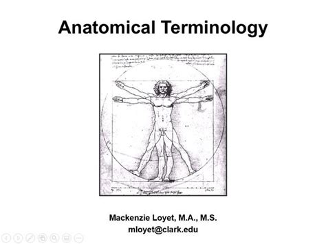 Anatomical Terminology