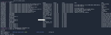 Bug 在ms容器内运行二进制文件出现：not Found · Issue 17159 · Meterspheremetersphere · Github