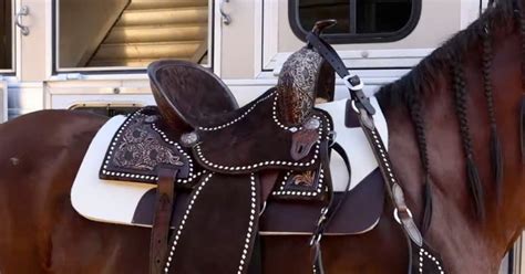 Josh Andrews Saddles