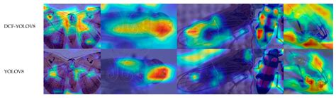 Dcf Yolov8 An Improved Algorithm For Aggregating Low Level Features To Detect Agricultural