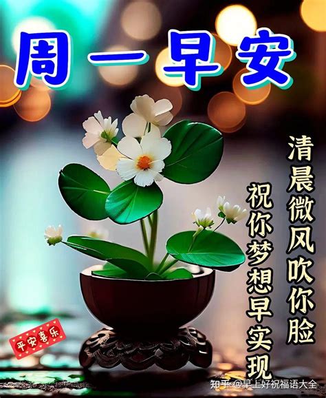 2023年6月19日周一早上好新的一周新的开 知乎