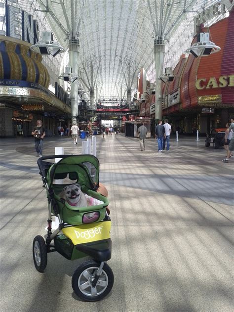 Freemont Street Las Vegas Things To Do