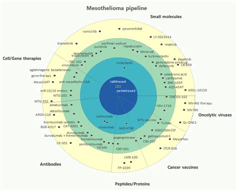 Excel Bullseye Chart Ponasa