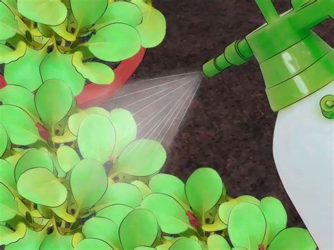 Ways To Control Pests WikiHow