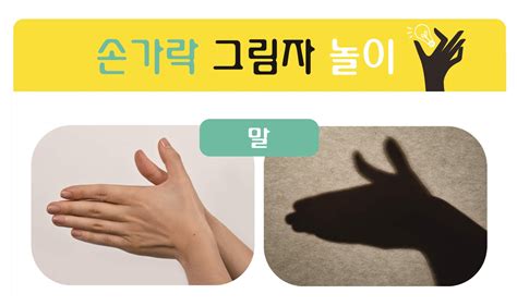 유아교육 누리놀이