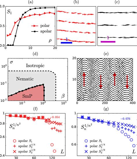 Simulation Results For Isotropic Repulsion A Smectic Order Parameter
