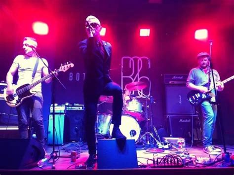 The Cogs Songs Events And Music Stats