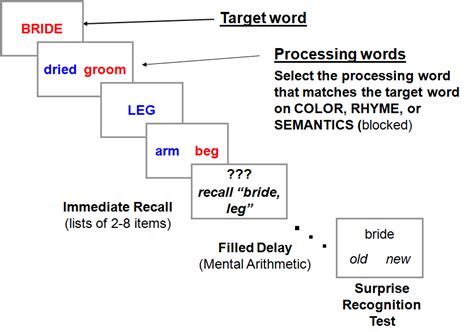 Procedure Of The Levels Of Processing Span Task Rose Et Al 2010 Download Scientific