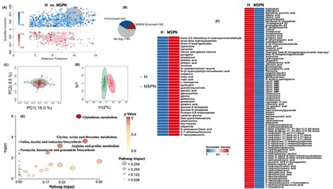 Gc Ms Based Metabolomic Comparison Of Healthy Subjects Vs Malignant Download Scientific Diagram