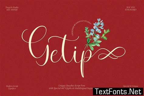 Ncl Getip Swash Script Font Wjsccdb