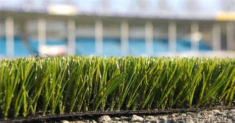 Researchers Call For Artificial Grass Ban Birdguides