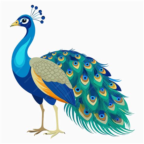Peacock Clipart Vector Illustration Premium Ai Generated Vector