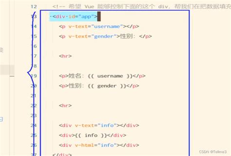 5、vue的基础用法（el属性的使用）vue 获取el Csdn博客