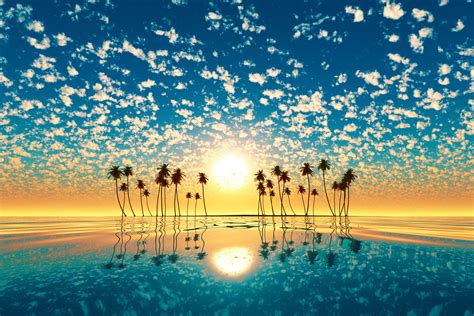 Palm Trees Reflection Sunset Wallpaperhd Nature Wallpapers4k