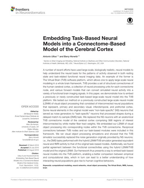 Pdf Embedding Task Based Neural Models Into A Connectome Based Model Of The Cerebral Cortex