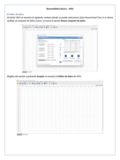 Guía De Bioestadística Spss Pdf Spss Archivo De Computadora