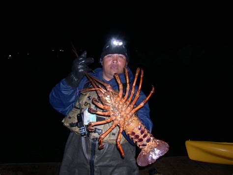 Lobster Sex Bloodydecks