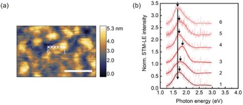 The Influence Of Substrate Topography On Stm Le Spectra Of Monolayer