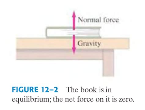 Physics Static Equilibrium Elasticity And Fracture Flashcards Quizlet
