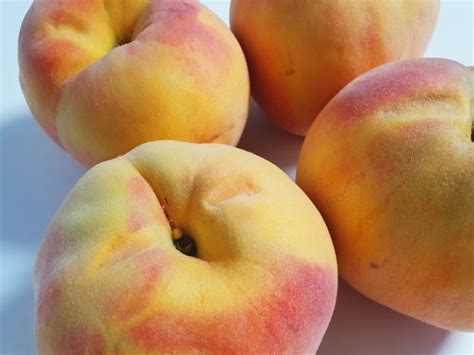 신품종복숭아 베리타임 황극천복숭아 허니옐로우복숭아 네이버 블로그