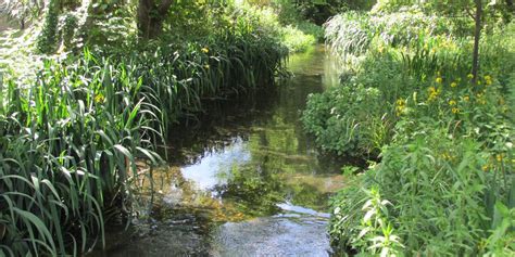 News Thames Rivers Trust