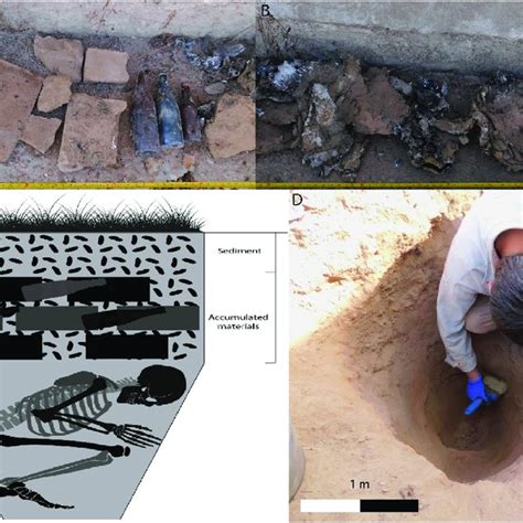 Perimortem Skull Fractures From Top To Bottom Lateral Frontal