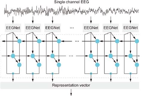 Overview Of The Eegnet Bilstm Architecture For Sleep Stage