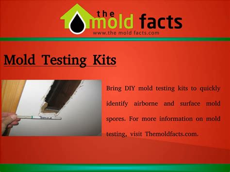 Ppt Professional Mold Testing Powerpoint Presentation Free Download