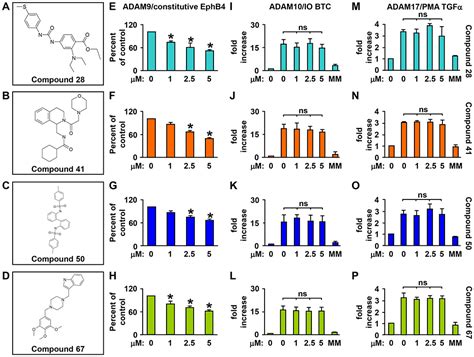 Characterization Of The Catalytic Properties Of The Membrane Anchored Metalloprotease Adam9 In