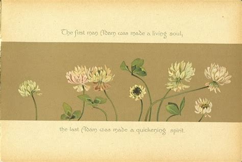 Lilias Trotter Alchetron The Free Social Encyclopedia