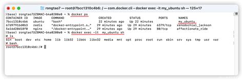 【云原生丶docker】docker容器常用命令大全 Docker创建容器命令 Csdn博客